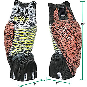 Galashield Owl Decoy | Plastic Owls to Scare Birds Away with Solar Powered LED Eyes | Owl Statue for Garden & Outdoors