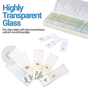 60 Microscope Slides with Specimens for Kids, Prepared Microscope Slides for Kids Microbiology, Prepared Microscope Slides for Adults