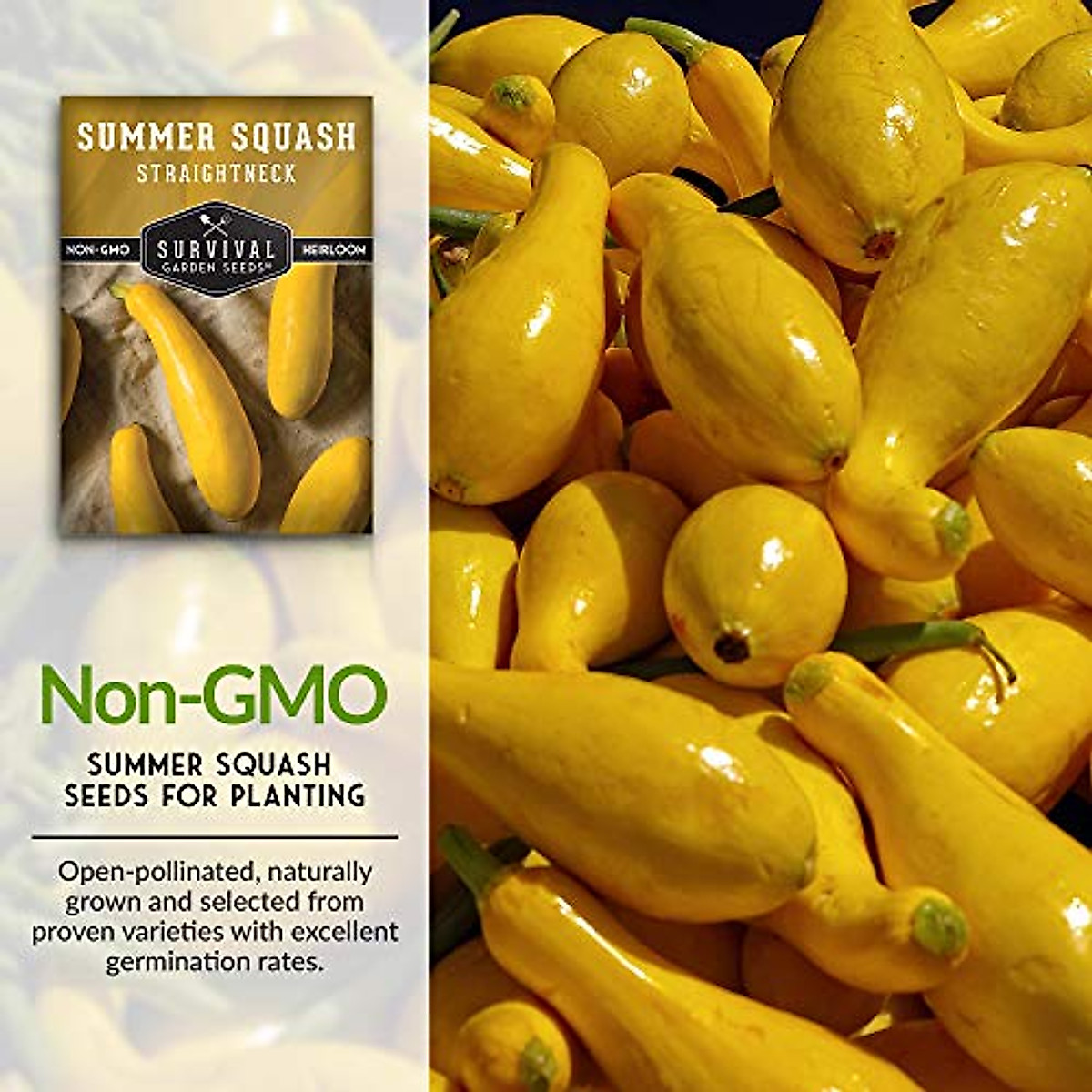 Survival Garden Seeds - Straightneck Summer Squash Seed for Planting - Packet with Instructions to Plant and Grow Yellow Squash in Your Home Vegetable Garden - Non-GMO Heirloom Variety