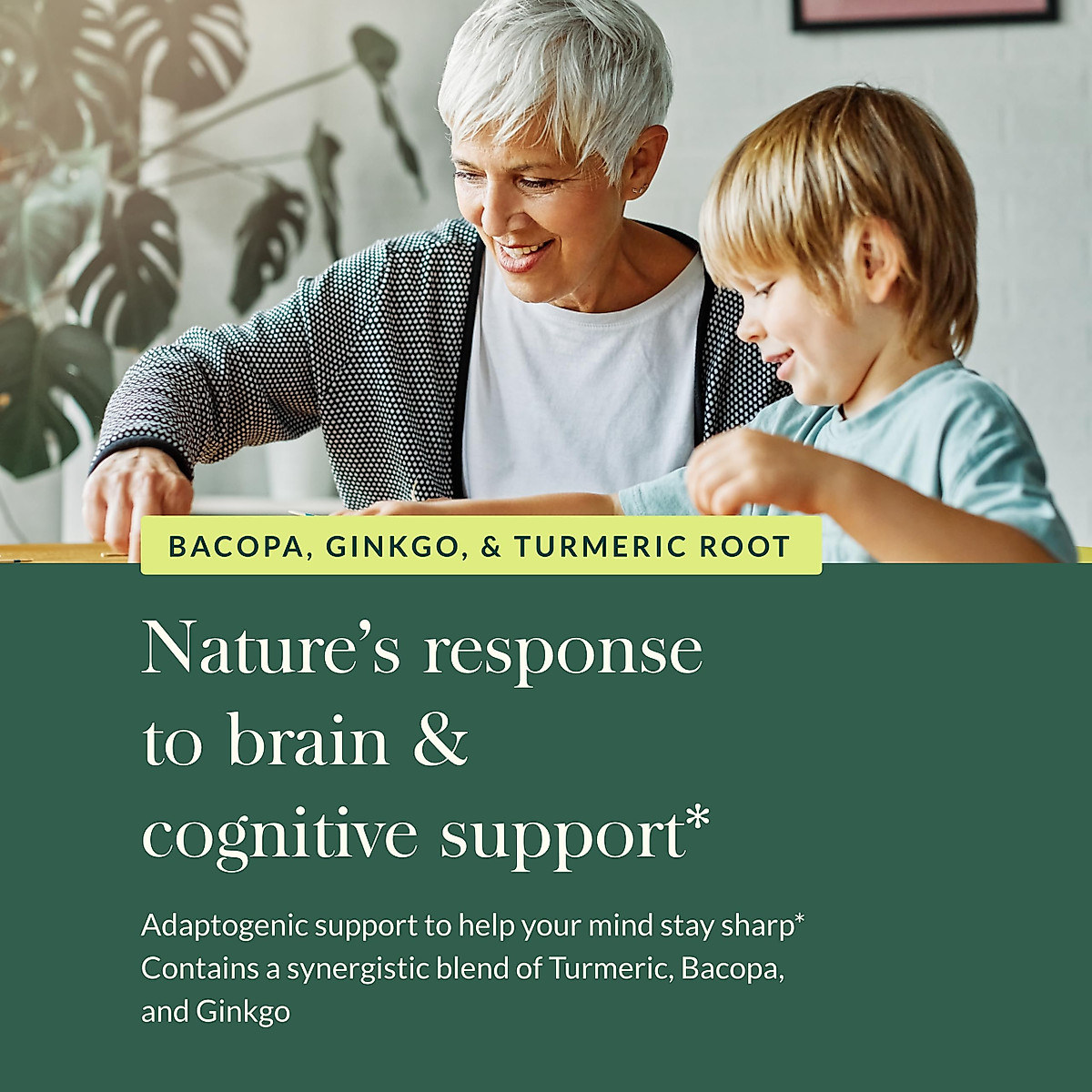 Gaia Herbs Agile Mind - Brain & Cognitive Support Herbal Supplements - with Organic Turmeric Root, Bacopa, Black Pepper, and Ginkgo Biloba - 60 Vegan Liquid Phyto-Capsules (30-Day Supply)