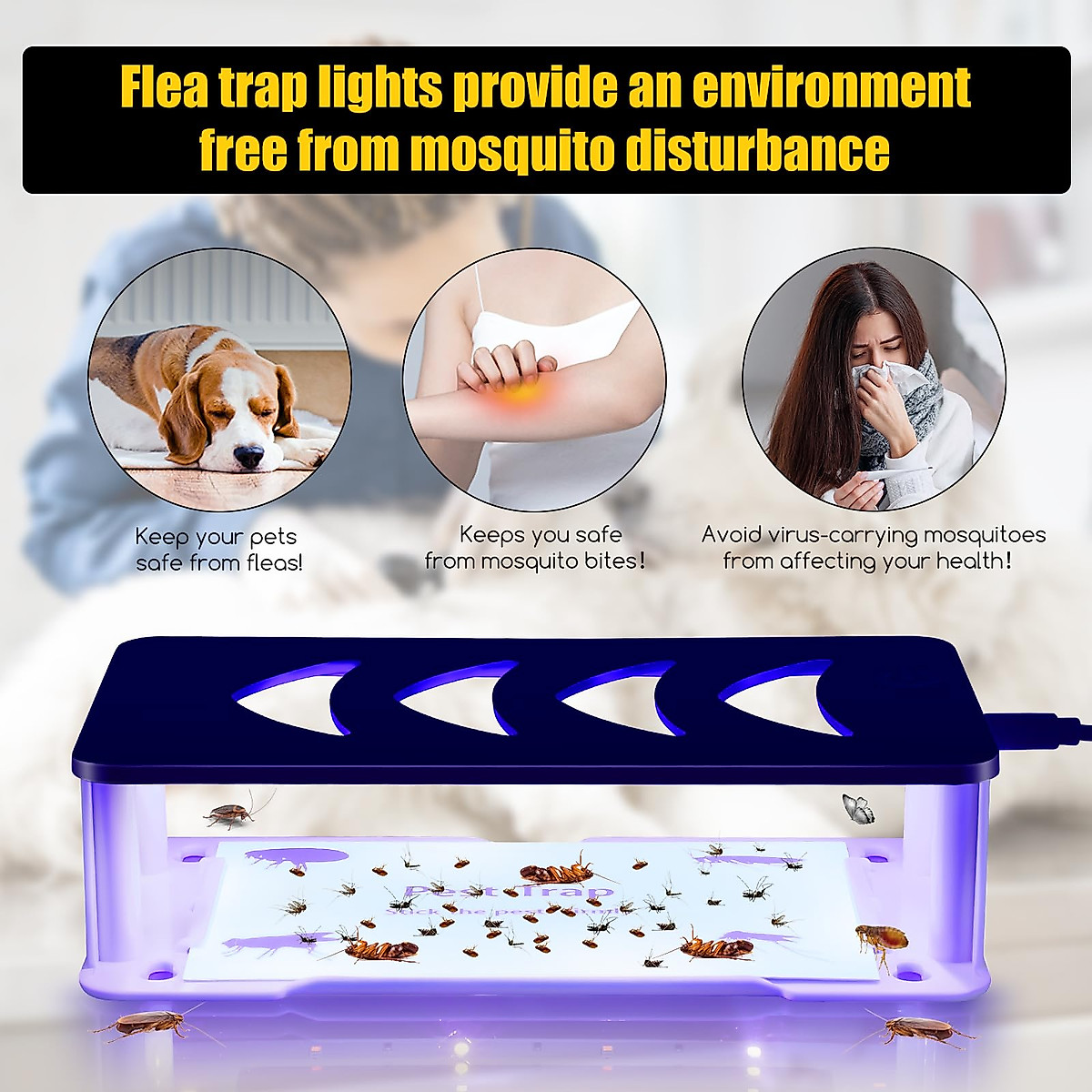 2 Pack Flea Traps for Inside Your Home, Flea Trap with Adjustable Light Modes & 4 Flying Insect Trap Sticky Refill Discs, Pest Trapper for Fleas, Flies, Mosquitoes