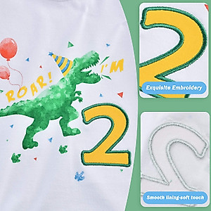 WAWSAM 2nd Birthday Boy Shirt Dinosaur Birthday T-Shirt 2 Year Old Toddler Dinosaur Outfit Cotton White Dino Party Shirt