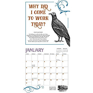 Effin' Birds 2021 Wall Calendar: A Field Guide to Identification