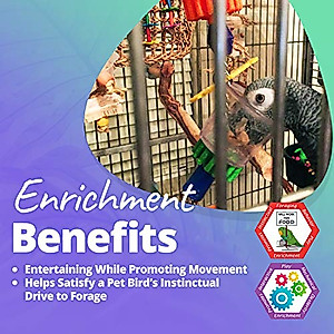 Super Bird Creations SB632 Foraging Bottom’s Up Bird Toy with Clear Acrylic Cups, Medium /Large Bird Size, 18” x 2.5”