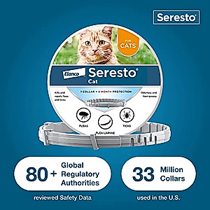 Bayer Seresto Flea and Tick Collar for Cat, all weights, 2 Pack