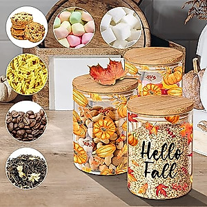 Fall Decor 3 Pack Glass Storage Jars with Airtight Bamboo Lid-Hello Fall Pumpkin Canisters Sets for Kitchen Countertop Autumn-Clear Fall Glass Storage Jars for Coffee Bean, Cookie, Candy, Tea, Flour