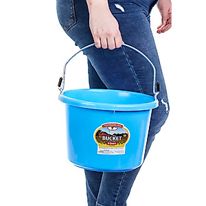 Plastic Animal Feed Bucket (Berry Blue) - Little Giant - Round Plastic Feed Bucket with Metal Handle (8 Quarts / 2 Gallons) (Item No. P8BERRYBLUE6)