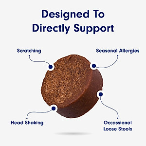 PetLab Co. – Oral Hygiene & Gut Health Bundle: Dental Powder for an Effortless Clean in 1 Scoop for Small Dogs & Probiotics for Dogs Supporting Gut Health & Seasonal Allergies