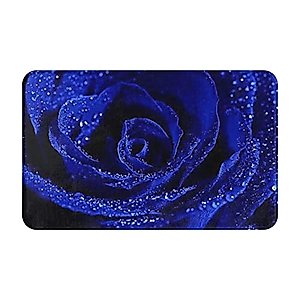 Modern Area Rug for Living Room Blue Rose Printed Area Rug Carpet for Bedroom Kitchen Home Outdoor 20 X 31 Inch