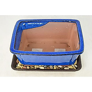 1 Pcs 8.25" Rectangular Dark Blue Bonsai / Succulent Pot + Tray + Rock + Mesh Combo