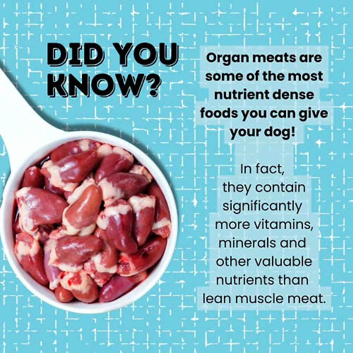 hotspot pets Freeze Dried Chicken Treats for Cats & Dogs - Single Ingredient All Natural Grain-Free Chicken Breast - Perfect for Training, Topper or Snack - Made in USA - 1LB Bag (Chicken Breast)
