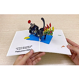 AVINITI Dirty Pop Cards – Obligatory Birthday Card – Funny 3D Cat Birthday Card, Popup Cards for Friend, Mom, Dad, Husband, Wife - 1 Card 5 x 7 inch, 1 Notepaper, 1 Envelope (Farting Cat 2)