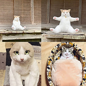 MUGUOY Handmade Simulation Cat Bag This Cat Backpack Look Like A Real Cat,3D Simulation Stuffed Animal Zipper Backpack.