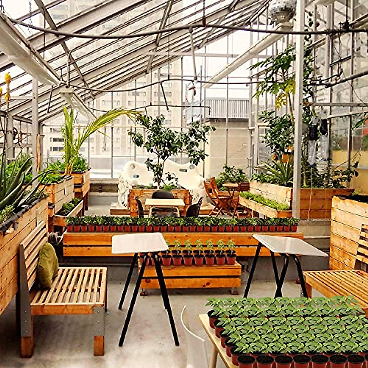 MIXC Plant Nursery Pots with Humidity Dome 4" Soft Transparent Plastic Gardening Pot Planting Containers Cups Planter Small Starter Seed Starting Trays for Seedling with 10pcs Plant Labels，30 Sets