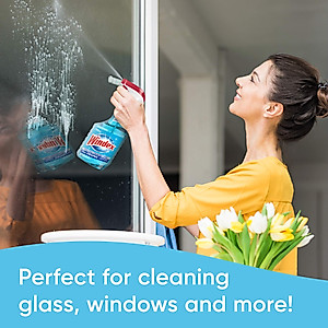 Windex Glass and Window Cleaner Spray Bottle, Original Blue, 23 fl oz