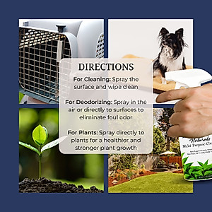 Happy Life Naturals - All purpose cleaner - natural household supplies - all purpose cleaning cleaning spray - Plant-based formula, multipurpose cleaner, kids and pets friendly, 16.9 Fl oz