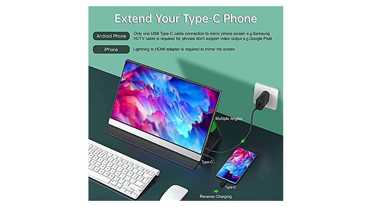 15.6" USB-C Portable Monitor with HDR & FreeSync