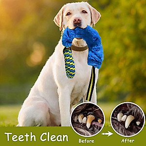 ELEGX Interactive Dog Bungee Toy with Squeaky Sound, Ideal for Aggressive Chewers & Dog Teeth Cleaning, Suitable for Small to Large Breeds