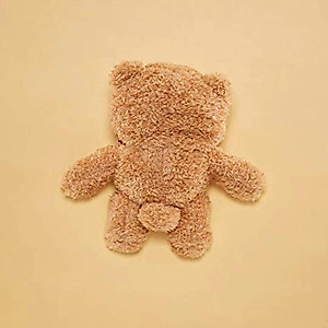 Cute Plush Unique Creative Fur Fluffy Brown Teddy Bear Case Animal Stuffed Doll Compatible with Airpods pro Cartoon Headphones Cover with Keychain Clip for Girls Boys Best Gift