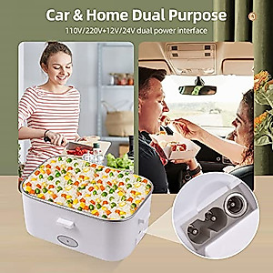 Ailgely Electric Lunch Box Food Heater,2 in 1 Food Warmer Heated Lunch Box,1.8L Removable Stainless Steel Container,110V 12V-24V 60W,Leak-proof,with Bag, Spoon, Fork for Car Truck Home