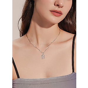 AEONSLOVE B Initial Necklace Sterling Silver Letter B Necklace Alphabet Pendant Cadena de Plata 925 Para Mujer with Cubic Zirconia Letter Jewelry Gifts for Women Daughter Mother Teen Wife Aunt Sister