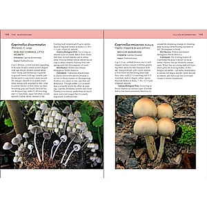 Mushrooms of the Southeast (A Timber Press Field Guide)