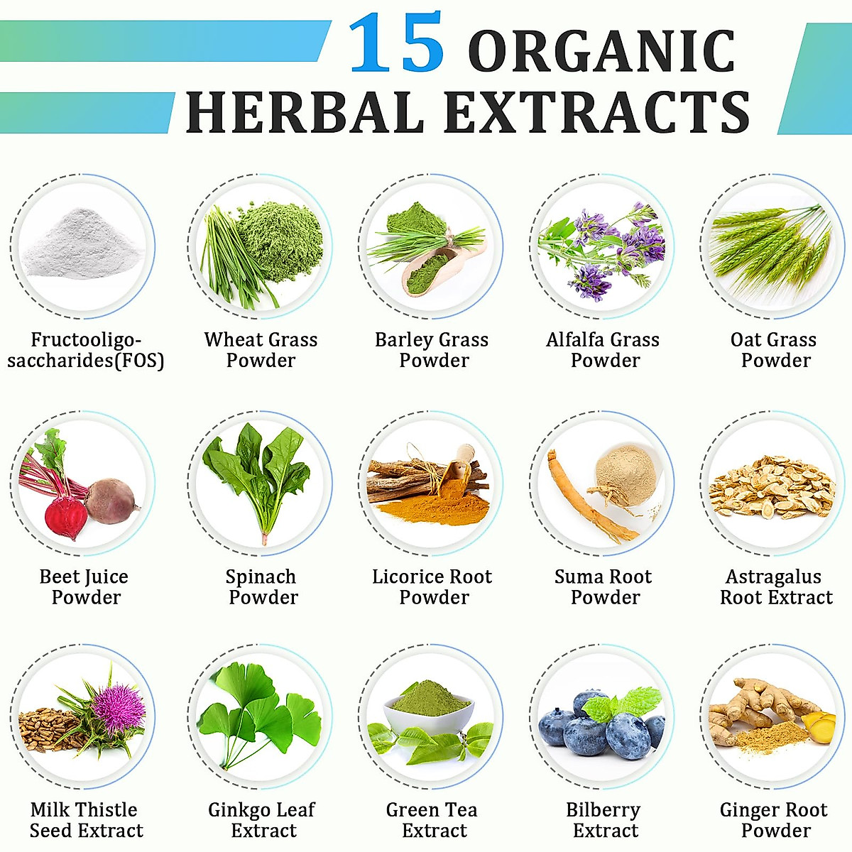 Probiotics for Women & Men - 300 Billion CFU, 24 Strains Probiotics + 15 Organic Herbs Prebiotics for Digestive, Gut Health, Immune, Constipation, Diarrhea & Whole-Body Health - 2 Months Supply