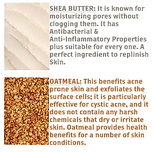 Olivia Care Exfoliating Bar Soap Pack by – 100% Natural & Organic - Infused with Shea Butter & Oats - Deep Clean, Refreshing, Moisturizing & Hydrating - Triple-Milled - X 5 OZ Oatmeal Shea Butter 3 Count (Pack of 3)