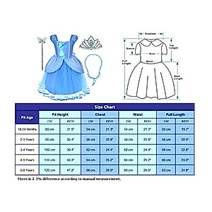 Party Chili Princess Fairy Costume Toddler Girls Birthday Dress Up with Tiara (2T 3T)