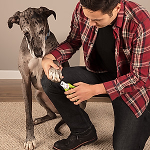 BISSELL Cat & Dog Nail Clippers / Trimmer with Safety Guard and File for Large and Small Animal Grooming, 2055A