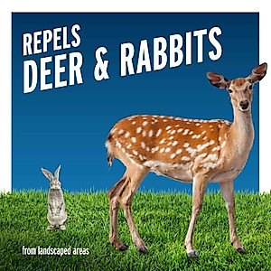 Liquid Fence Deer And Rabbit Repellent Concentrate 32 Ounces, Apply Year-Round