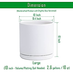 D'vine Dev 10 Inch Ceramic Planter Pot with Drainage Hole and Saucer, Indoor Cylinder Round Planter Pot, White, 94-O-L-1