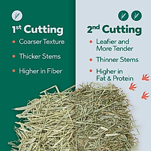 Andy Organic Timothy Hay Rabbit & Guinea Pig Food, 15 Lb Box, 1st Cut Timothy Hay, Premium Hay for Rabbits, Chinchilla, Gerbil, and Small Pet Treats