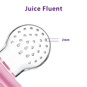 BBNJBABY Baby Fresh Fruit Food Feeder Toy Teether, Infant Fruit Teething Toy, Fresh Food Nibbler 2 Packs