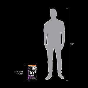 GO! SOLUTIONS Carnivore Grain Free Dry Cat Food, 3 lb - Chicken, Turkey + Duck Recipe - Protein Rich Dry Cat Food - Complete + Balanced Nutrition for All Life Stages