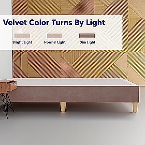 Greaton, 15-Inch Premium Velvet Material Wood Box Spring/Bed Frame, Durable, Stylish, Multi Colour Options and Comfortable Foundation with Wooden Legs, 75" x 44", Light Pink