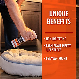 Grandpa Gus's Natural Flea & Tick Spray with Plant-Based Actives, Ready-to-Use, Quick Kills Fleas, Ticks & Mites from Small Animal, Dog, Cat & Home, 16 fl oz