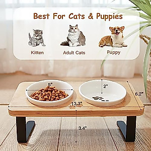 Ceramic Elevated Cat Bowls, 15° Tilted Raised Cat Food Bowls for Food and Water, Indoor Cat Dishes with Bamboo Stand Anti Vomiting for Cats and Puppy, Pet Bowl Set with Anti Slip Feet, Dishwasher Safe