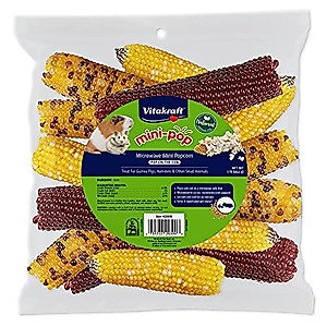 Vitakraft Mini Pops Treat for Small Animals - 100% Real Corn Cob - Supports Healthy Teeth - 1 lb