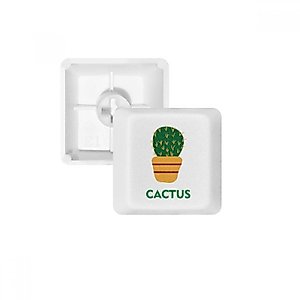 DIYthinker Cactus Green Potted Plant Succulents Keycap Mechanical Keyboard PBT Gaming Upgrade Kit