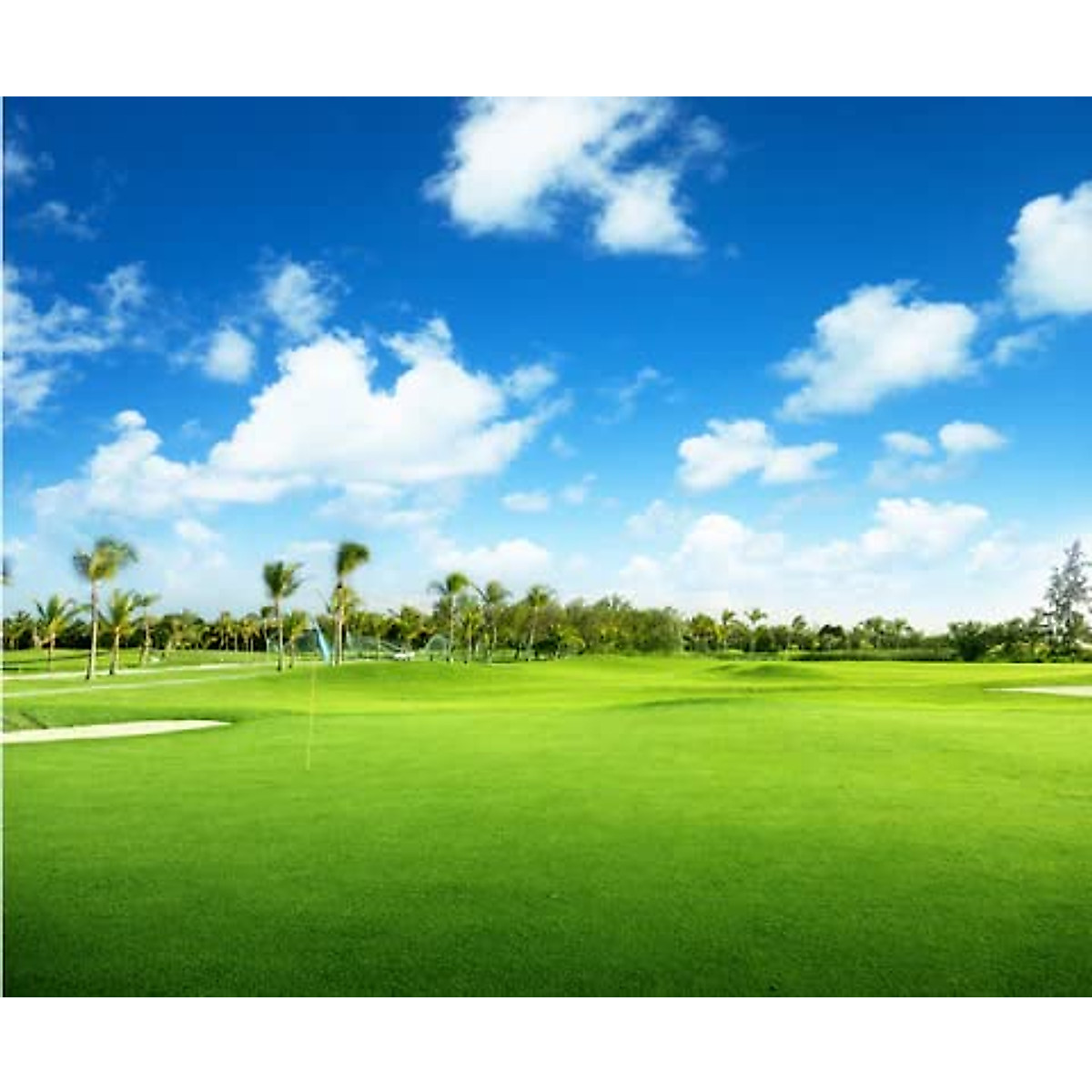 Maya Blackjack II Bermuda Grass Seed (5 Lbs.)