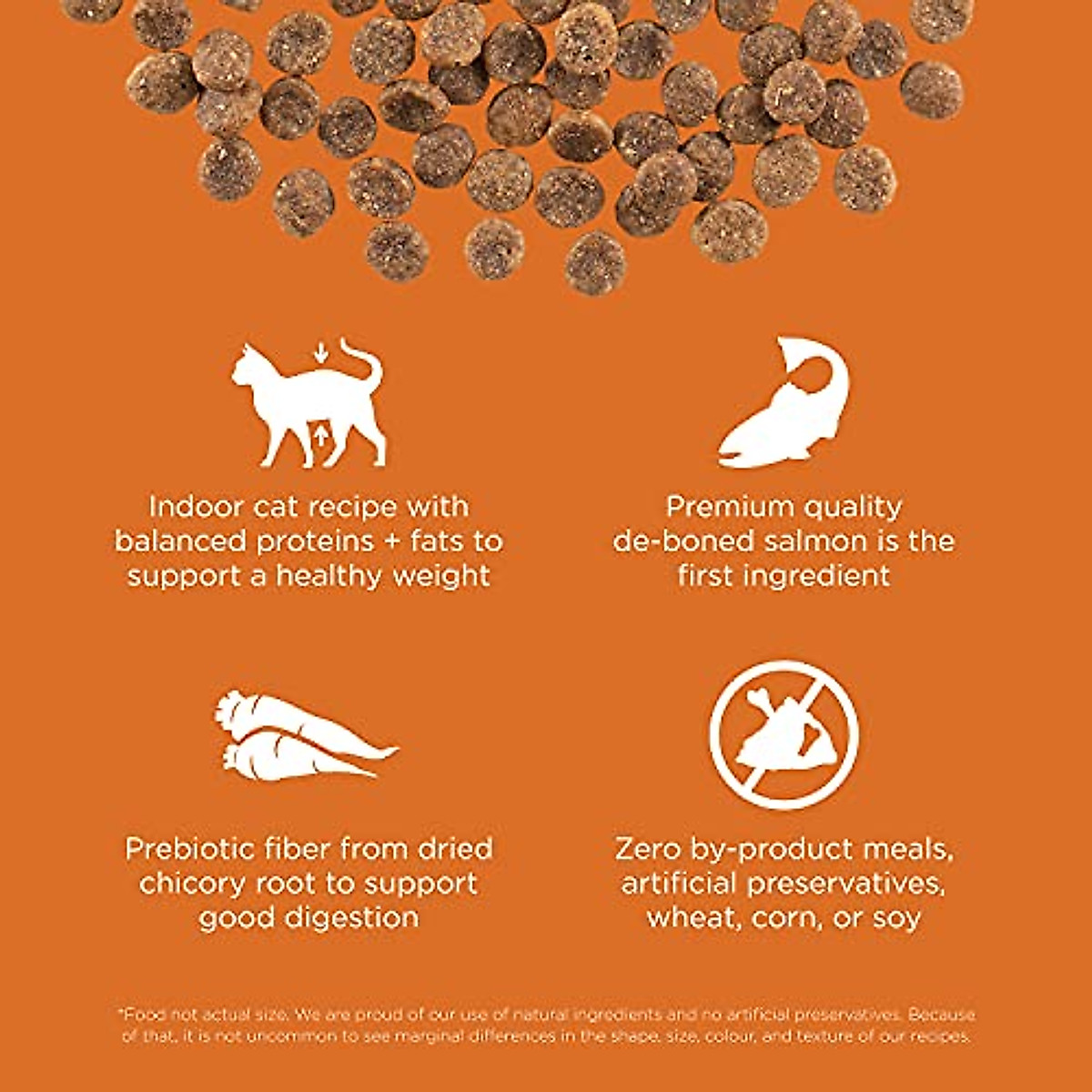 GO! SOLUTIONS Skin + Coat Care - Grain Free Dry Cat Food, 8 lb - Salmon Recipe - Cat Food for All Life Stages - with Probiotics