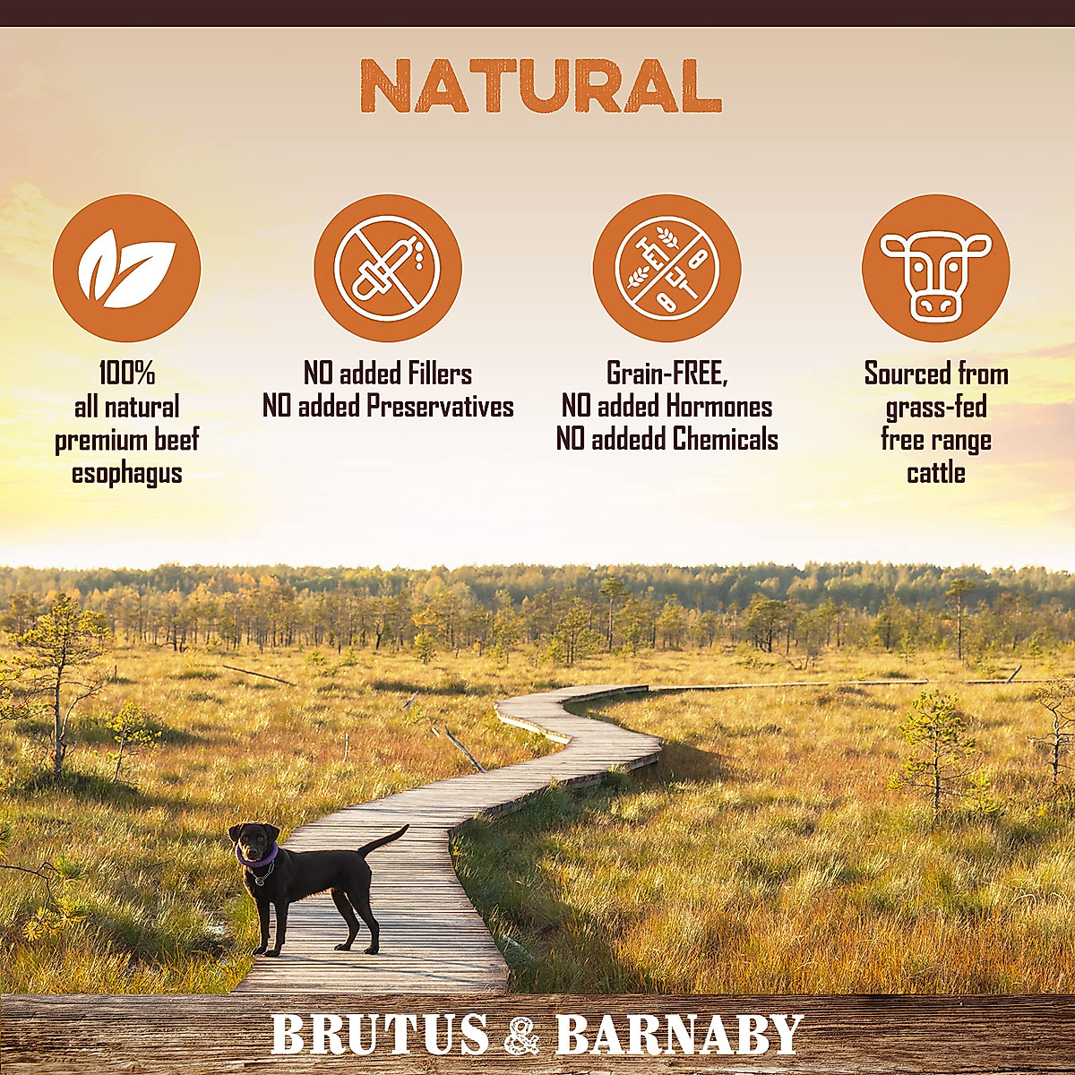 Gullet Sticks for Dogs, All Natural Single Ingredient Beef Jerky Chews, Healthy Beef Gullet Sticks, Naturally Occurring Glucosamine & Chondroitin, Can Help Joint Function for Puppies or Senior Dogs