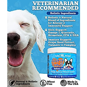 Well Loved Dog Allergy Chews - Dog Allergy Relief, Made in USA, Vet Developed, Hot Spot Treatment for Dogs, Dog Itch Relief, Anti Itch for Dogs, Dog Vitamins, Dog Skin Allergies Treatment, 120 Count