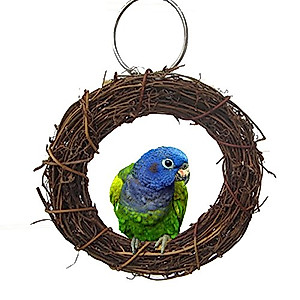Natural Rattan Hoop Chew Toy for Parakeet Budgie Cockatiel Conure Macaw Lovebird Hanging Cage (L)