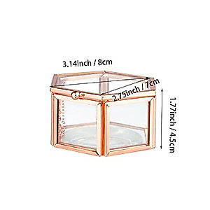 Feyarl Jewelry Trinket Glass Box Ornate Ring Earring Box Preserved Flower Glass Box Organizer Decorative Box Storage (Rose Gold)