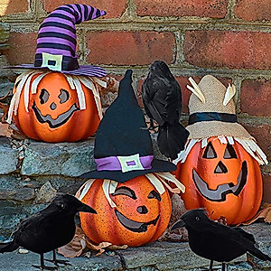 Realistic Crow, 6 PCS Halloween Black Feathered Crow Decoys Ravens Outdoor Halloween Decorations Props Décor, Standing Flying Birds for Tree Haunted House Graveyard Tombstone Display