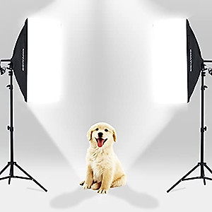 Softbox Lighting Kit Photography Soft Box 20'' X 28'', 85W Studio 6000k Bulb LED Light, 6.7'Light Stand, Remote Set, BEIYANG