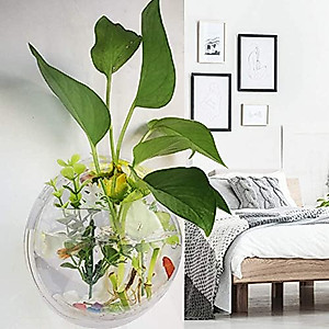 2Pack 5.9'' Wall Mounted Clear Acrylic Round Fish Tank Flower Pot Vase Decoration Wall Hanging Mount Fish Bowl Fish Bubble Aquarium Decorative Plant Pot Hanging Hydroponic Pot