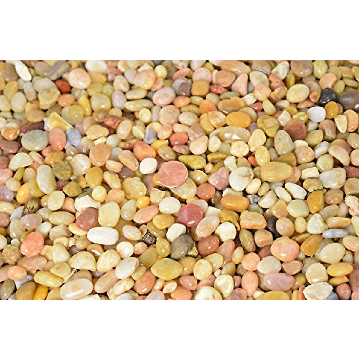 3 Lbs Large Salmon Bay Pebbles for Bonsai Tree Humidity Tray & Lucky Bamboo